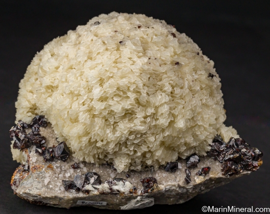 Marin Mineral Company - 50% Off Mineral Sale