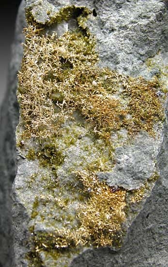 Marin Mineral Company - Olinghouse Gold